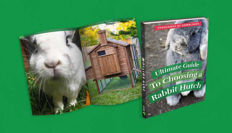 The Rabbit Den | The Biggest Rabbit Hutch Available!